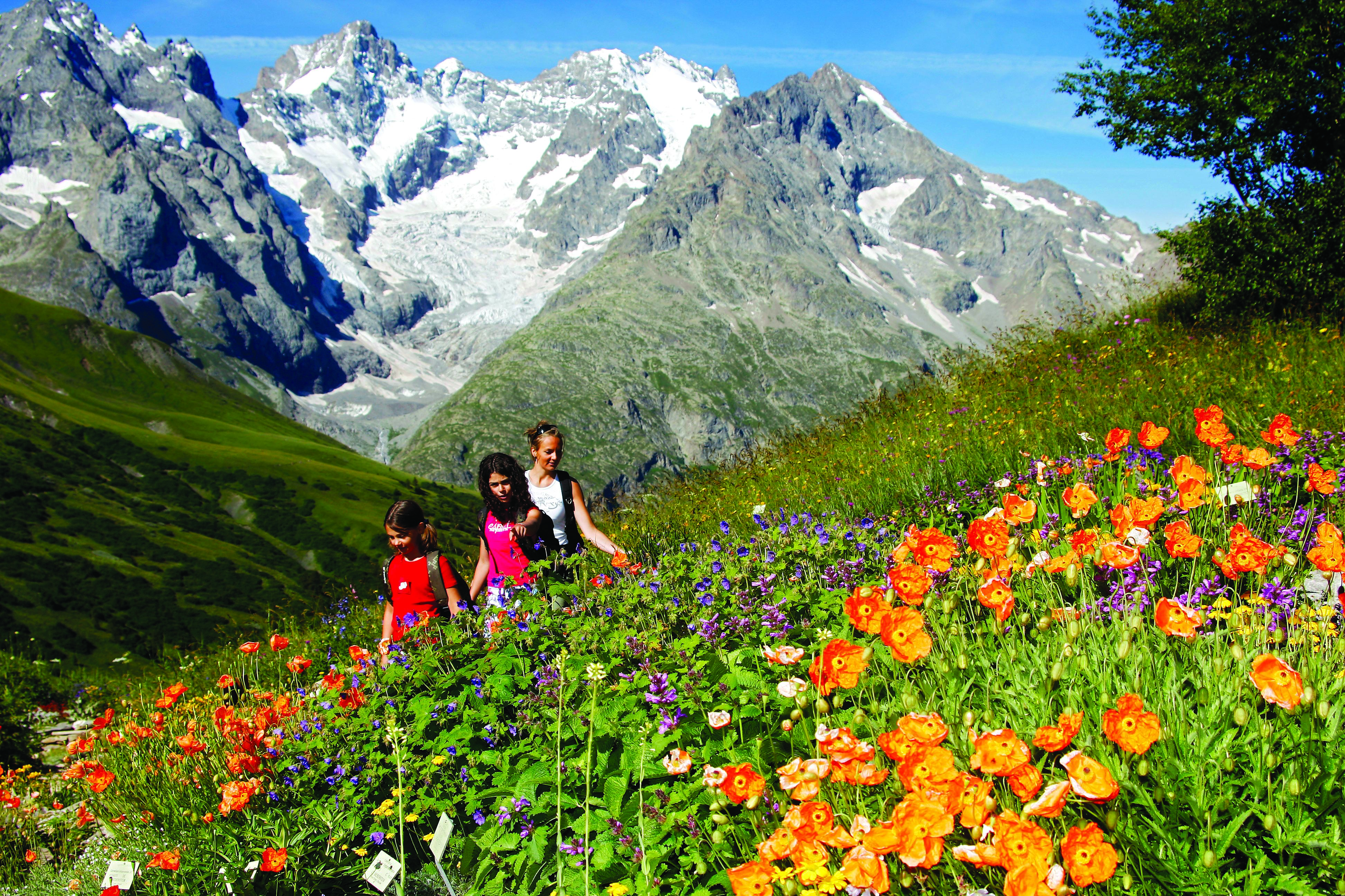 Educational Trip To French Alps For International Schools | Travelbound